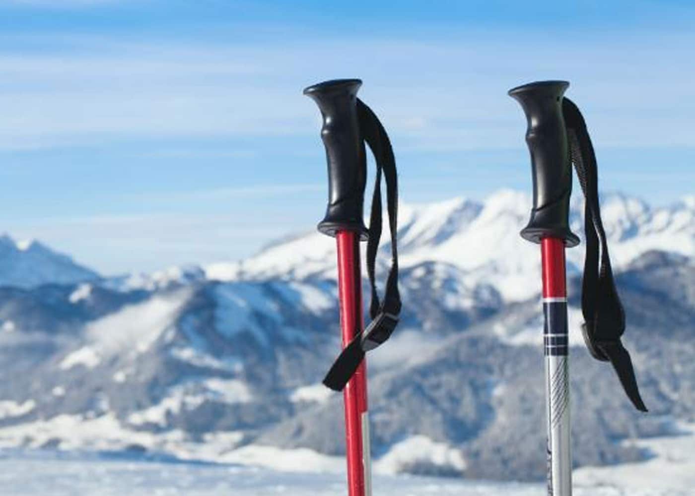 Zipline Blurr 16.0 Graphite Composite Ski Pole: An Affordable Choice